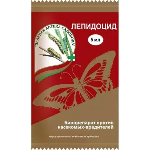 Мравки на ябълково дърво: как да се отървете от народните средства, как да обработвате, какво да правите 1484_6