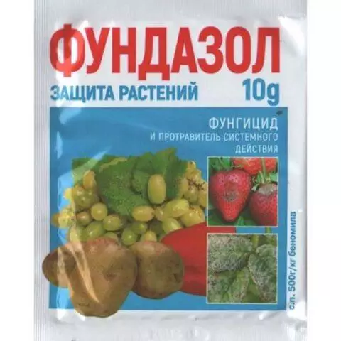 Колку и дали е неопходно да се впие грашок пред да се сади на отворено 1499_5