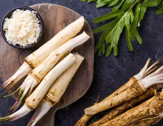 Qış üçün evdə horseradish necə qurudulur