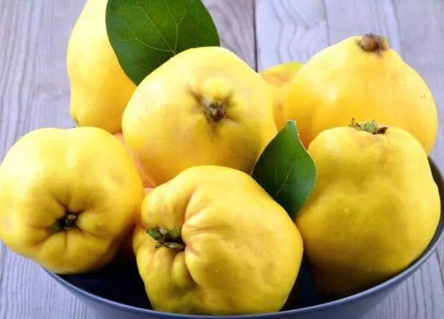 ทิงเจอร์ Quince (chaenomeles): บนวอดก้า, แอลกอฮอล์, แสงจันทร์จากเมล็ดพืช, ผลไม้