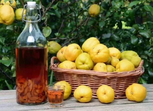 Quint (chaenomeles) tincture: li ser vodka, alkol, ronahiya heyvê ji tov, fêkî 152_4