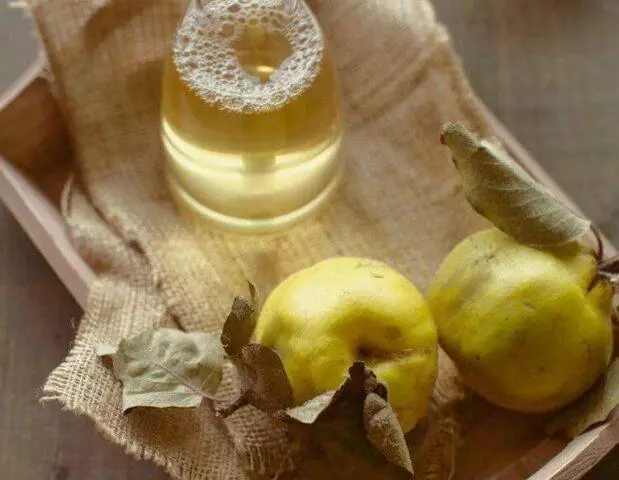 Quince (chaenomeles) tincture: تي vodka ، شراب ، moonج مان moonshine ، ميون 152_9