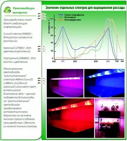 Как да направите LED осветление за разсад 15314_2