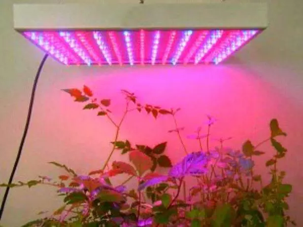 كيفية عمل إضاءة LED للشتلات 15314_3