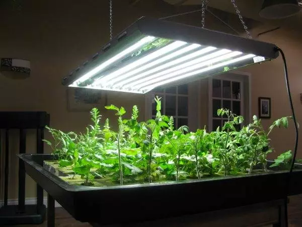 DIY seedling lighting 15315_1