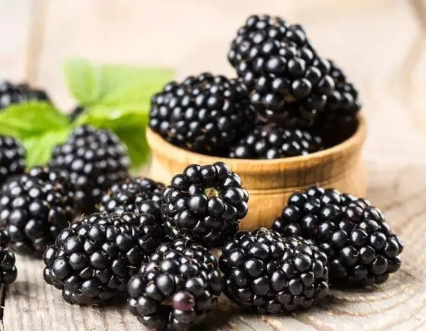 Black raspberries na blakberị: ọdịiche, foto 1591_6