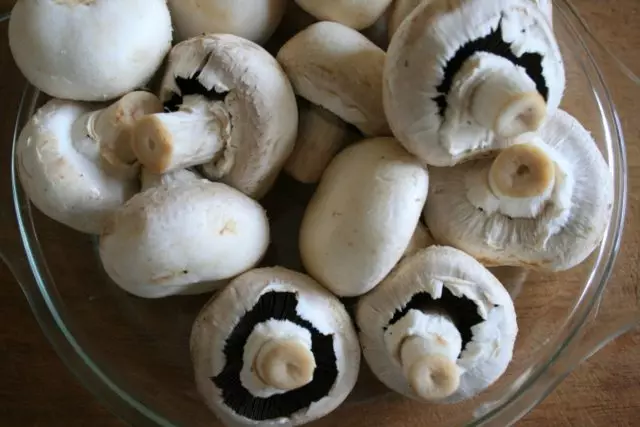 Čierne šampiňóny pod uzáverom: je možné po rozmrazení jesť (variť) zatemnené huby s čiernymi taniermi vo vnútri, z chladničky