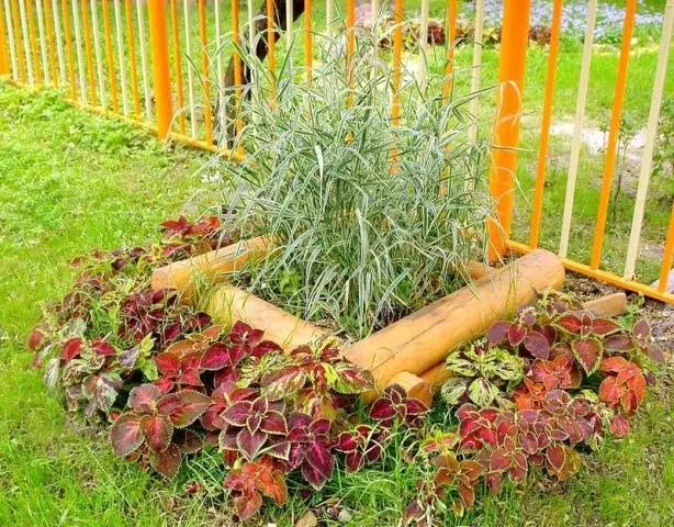 Smukke blomsterbed i landet med egne hænder + foto 1739_6