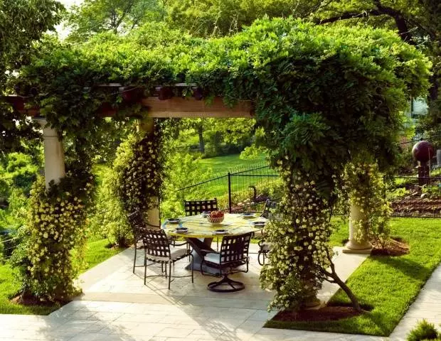 Kini pergola ni apẹrẹ ala -ilẹ + fọto 1740_1