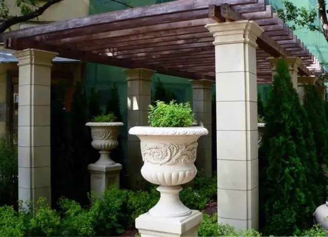 Kini pergola ni apẹrẹ ala -ilẹ + fọto 1740_4