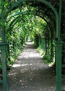 Kini pergola ni apẹrẹ ala -ilẹ + fọto 1740_5