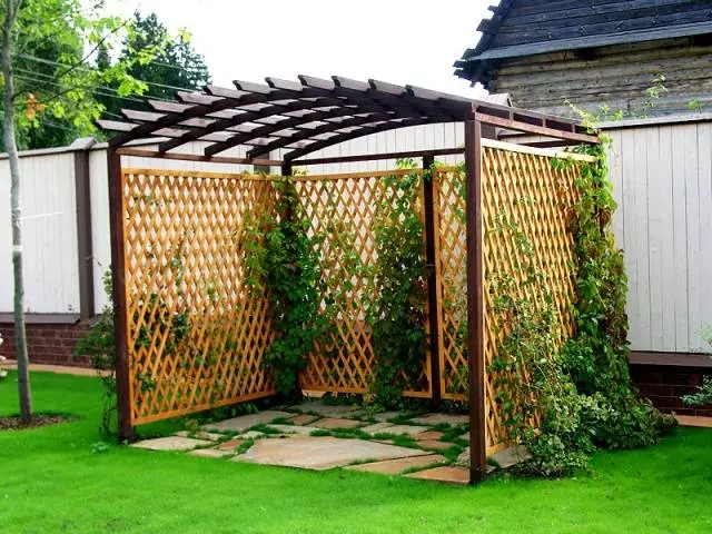 Kini pergola ni apẹrẹ ala -ilẹ + fọto 1740_9