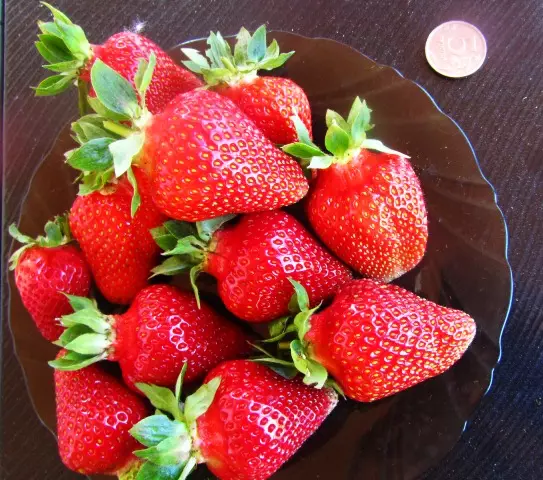 Strawberry Asia: malongosoledwe osiyanasiyana, zithunzi, ndemanga