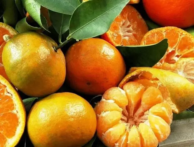 Osan tabi tangerine: eyiti o dara julọ, kini iyatọ, nibiti awọn vitamin diẹ sii wa, fọto 189_1