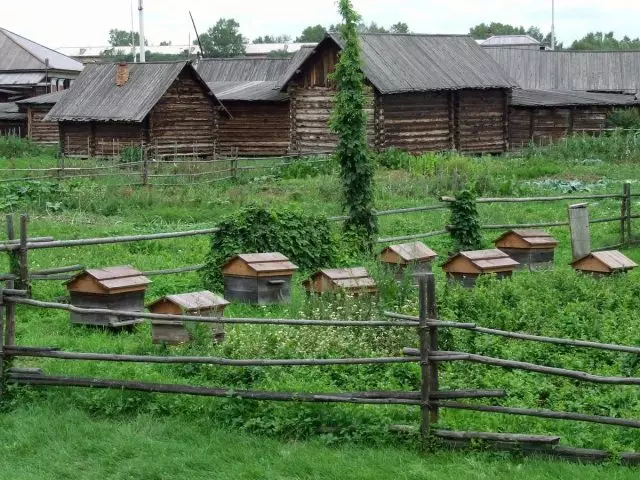 Закон про бджільництво: правила і норми утримання бджіл в населених пунктах, в селі, на присадибній ділянці, правила розміщення вуликів 1930_4