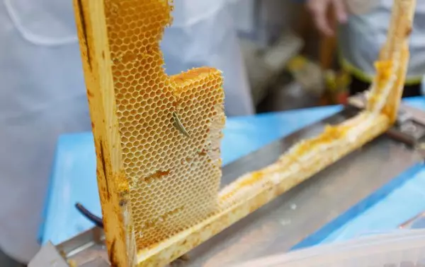 Beeswax: gikaon ba kini sama sa usa ka honeycomb, luwas ba nga matulon 1938_2