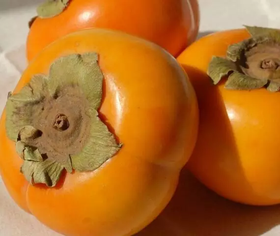 Persimmon ya gastritis yokhala ndi acidity yambiri ndi zilonda zam'mimba: ndizotheka kapena ayi 198_1