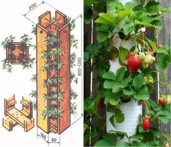 Camas verticales de bricolaje para fresas + foto 2081_2