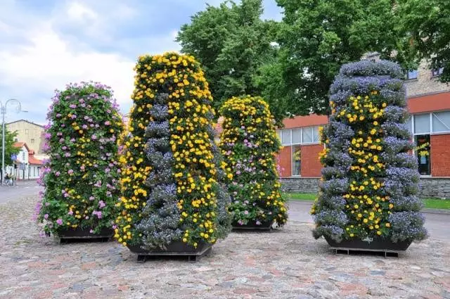 Camas de botellas de plástico 2085_11