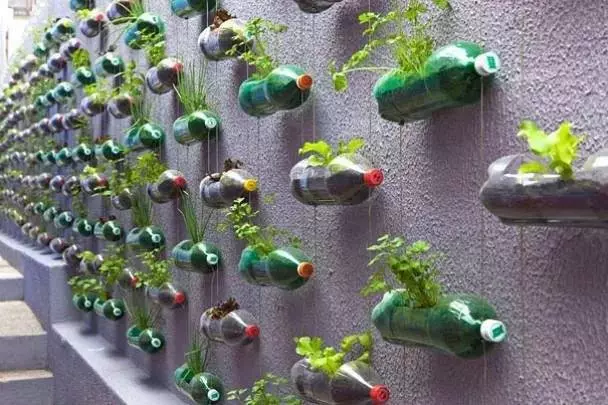 Camas de botellas de plástico 2085_9