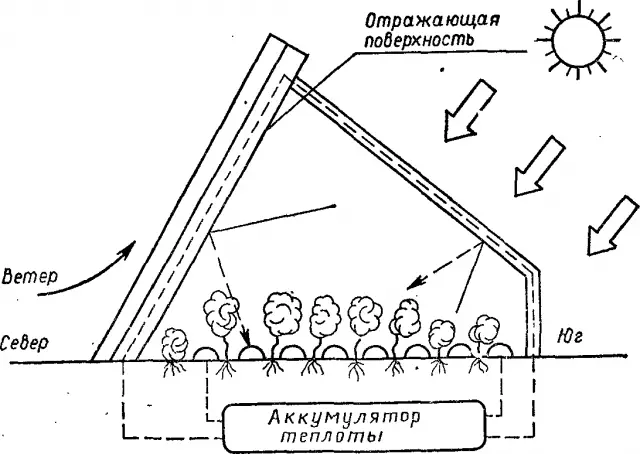 Үйдегі DIY жылыжай + фотосуреттер, суреттер 2120_2