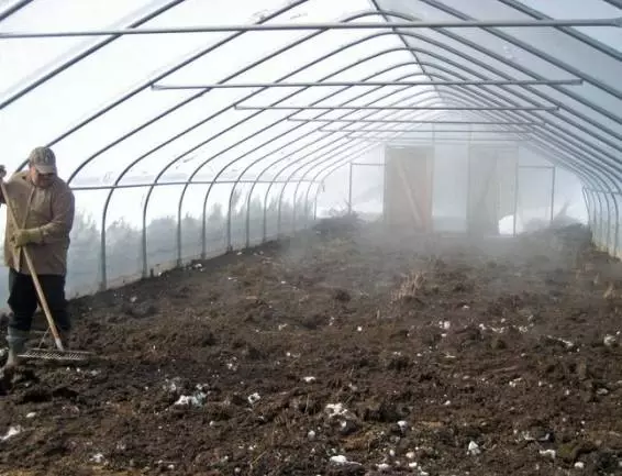 Invernadoiro para o cultivo de pepinos durante todo o ano 2126_4