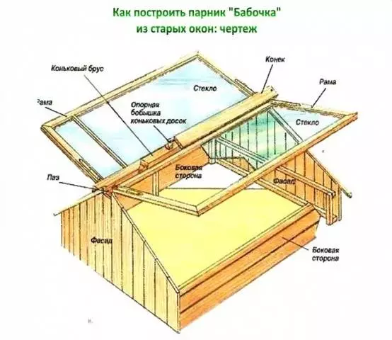 Парник Метелик з полікарбонату: відгуки 2127_11