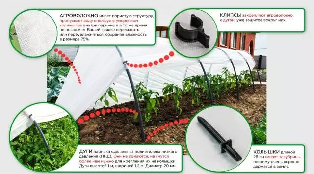 Greenhouse Snowdrop ทำเอง: บทวิจารณ์ + รูปถ่าย 2128_2