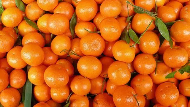 Uyda mandarin aroqlari 2223_1