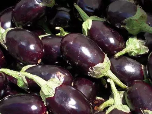 Khov eggplants rau lub caij ntuj no hauv tsev 2369_2