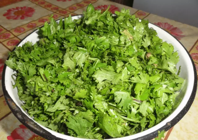 Suurtagal ma tahay in la qaboojiyo cilantro jiilaalka 2376_2