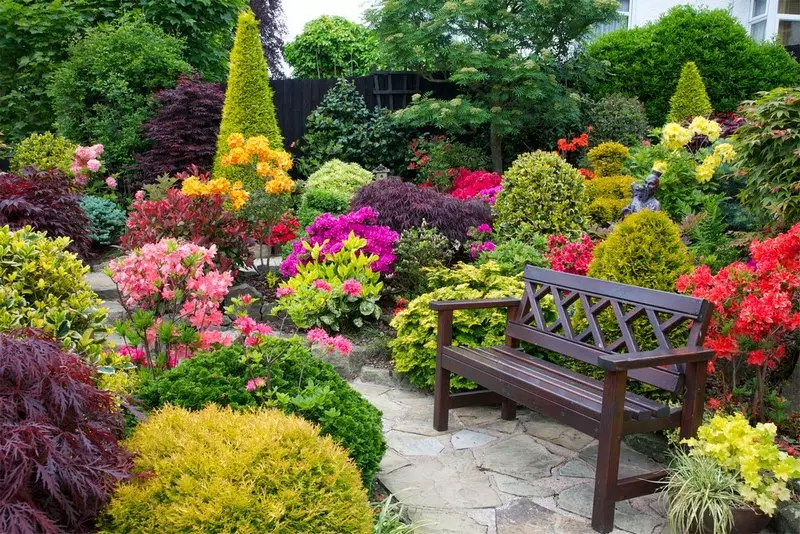 Un parterre de plantes perennes per a principiants + foto