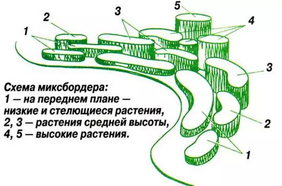 Daudzgadīgo augu nepārtrauktas ziedēšanas puķu dobe: shēmas 247_26