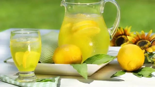 Agua caliente con limón: beneficios y perjuicios, en ayunas por la mañana, reseñas, recetas. 2482_1