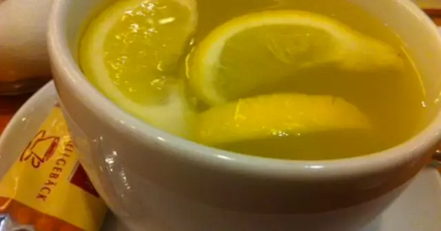 Hot water with lemon: benefits and harms, on an empty stomach in the morning, reviews, recipes 2482_2