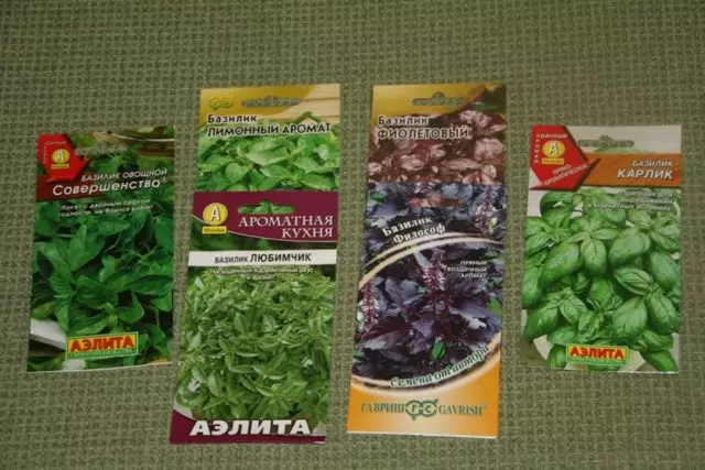 Basil: growing from seeds, when to sow for seedlings, video 2514_8