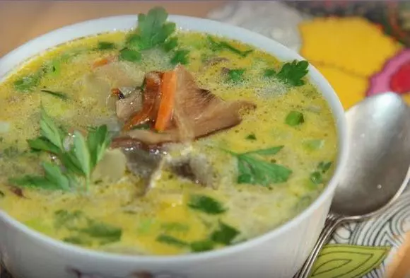 Sup supa porcini garing: resep klasik, kalayan sair, hayam, daging 2522_22