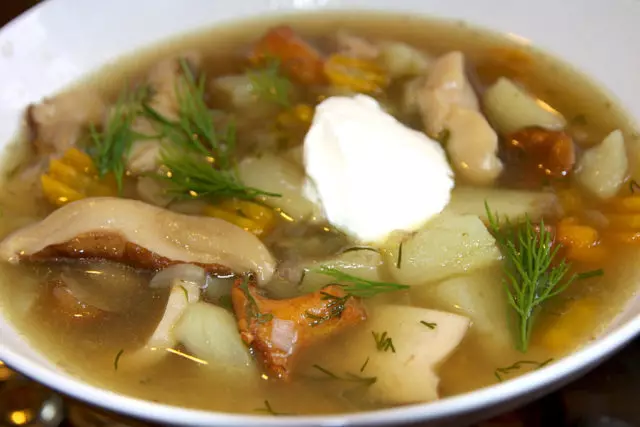 Boletus suppe: frisk, frossen, tørret, hvor meget svampe skal koges, foto 2530_8