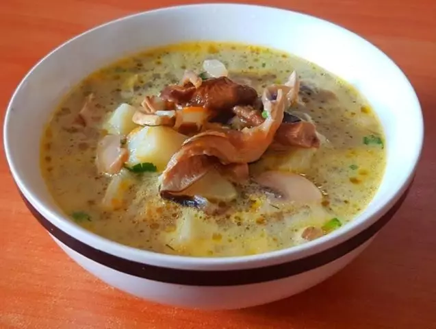 Sopa de xampinyó de bolets amb patates i fideus: com cuinar amb pollastre, a partir de bolets frescos i congelats, calories 2544_6