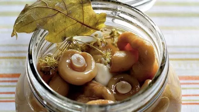 Como escabeche de cogomelos de leite de xeito rápido e saboroso: receitas sinxelas para escabeche para o inverno na casa, sen remollo, en botes 2558_15