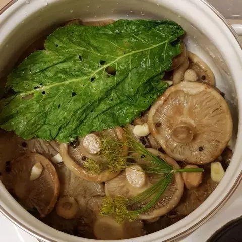 Como escabeche de cogomelos de leite de xeito rápido e saboroso: receitas sinxelas para escabeche para o inverno na casa, sen remollo, en botes 2558_9