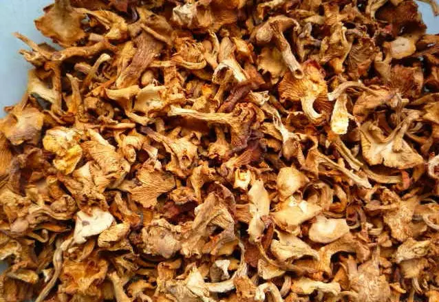 How to cook dried chanterelles: recipes from dried mushrooms 2583_1