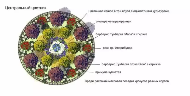 Кръгла цветна леха от многогодишни растения с непрекъснат цъфтеж в страната със собствените си ръце 261_10