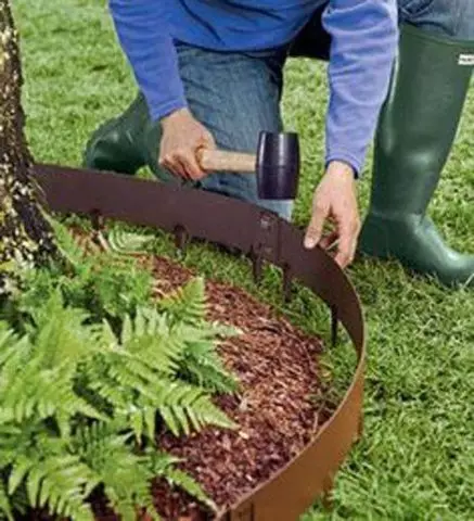 Canteiro redondo de plantas perenes de floração contínua no país com suas próprias mãos 261_18