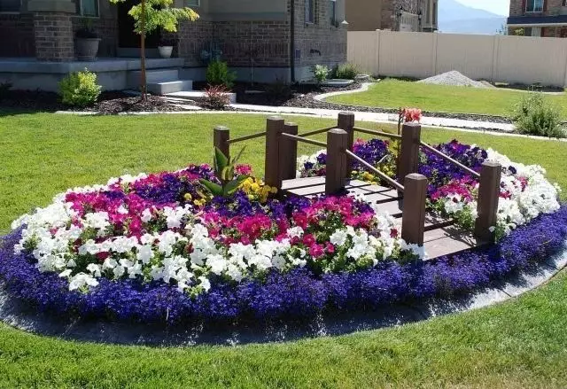 Canteiro redondo de plantas perenes de floração contínua no país com suas próprias mãos 261_29