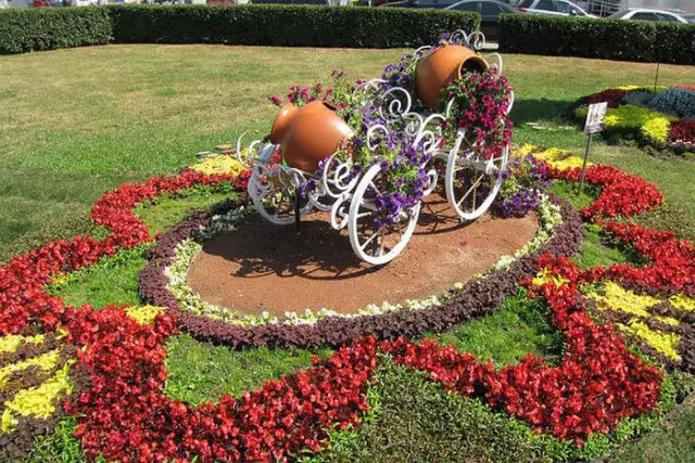 Canteiro redondo de plantas perenes de floração contínua no país com suas próprias mãos 261_30