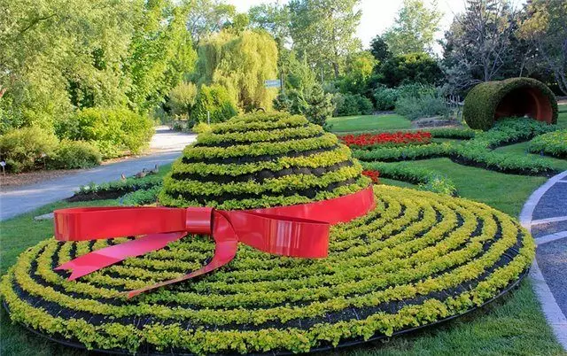 Canteiro redondo de plantas perenes de floração contínua no país com suas próprias mãos 261_31