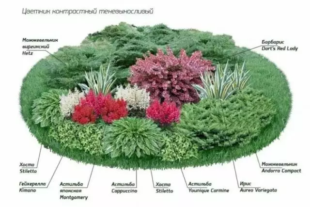 Canteiro redondo de plantas perenes de floração contínua no país com suas próprias mãos 261_4