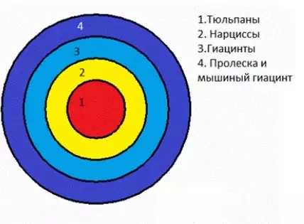 Hloov paj txaj ntawm perennials ntawm txuas ntxiv paj hauv lub tebchaws nrog koj tus kheej txhais tes 261_6