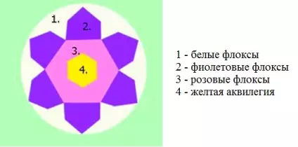 Hloov paj txaj ntawm perennials ntawm txuas ntxiv paj hauv lub tebchaws nrog koj tus kheej txhais tes 261_7